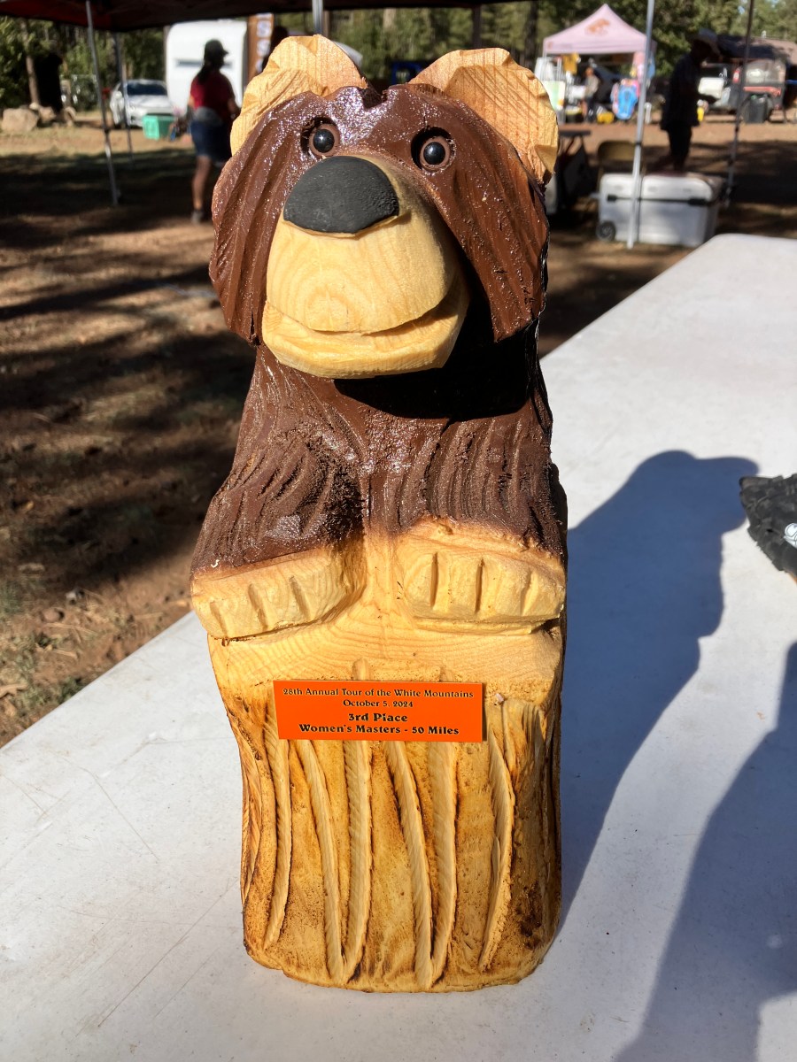 Speaking of bears…. | reluctantroadie